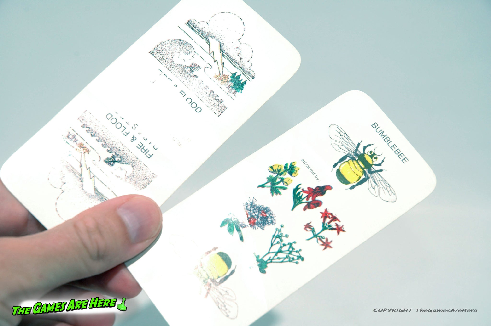 Pollination Game card Game - Ampersand Press – The Games Are Here